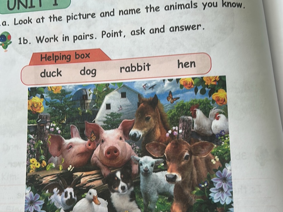 1a. Look at the picture and name the animals | StudyX
