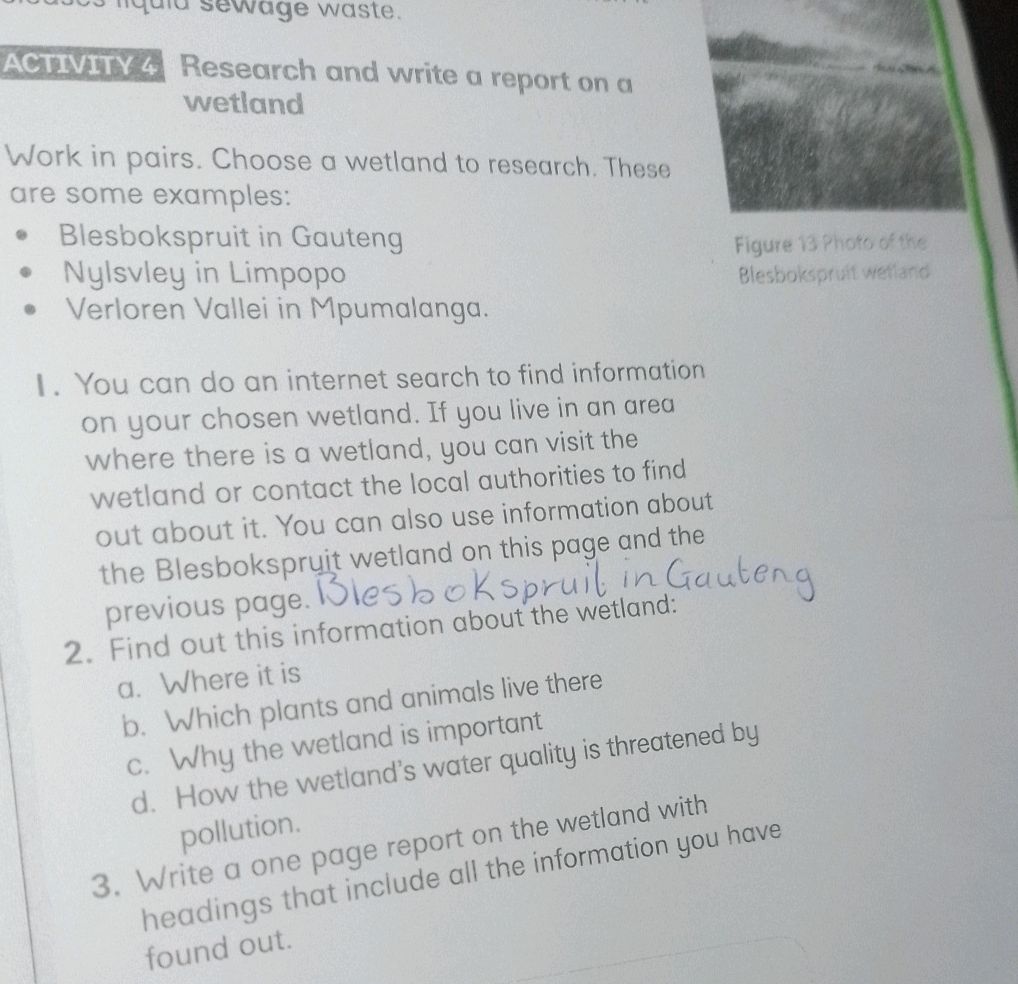 ACTIVITY 4 Research and write a report on a | StudyX