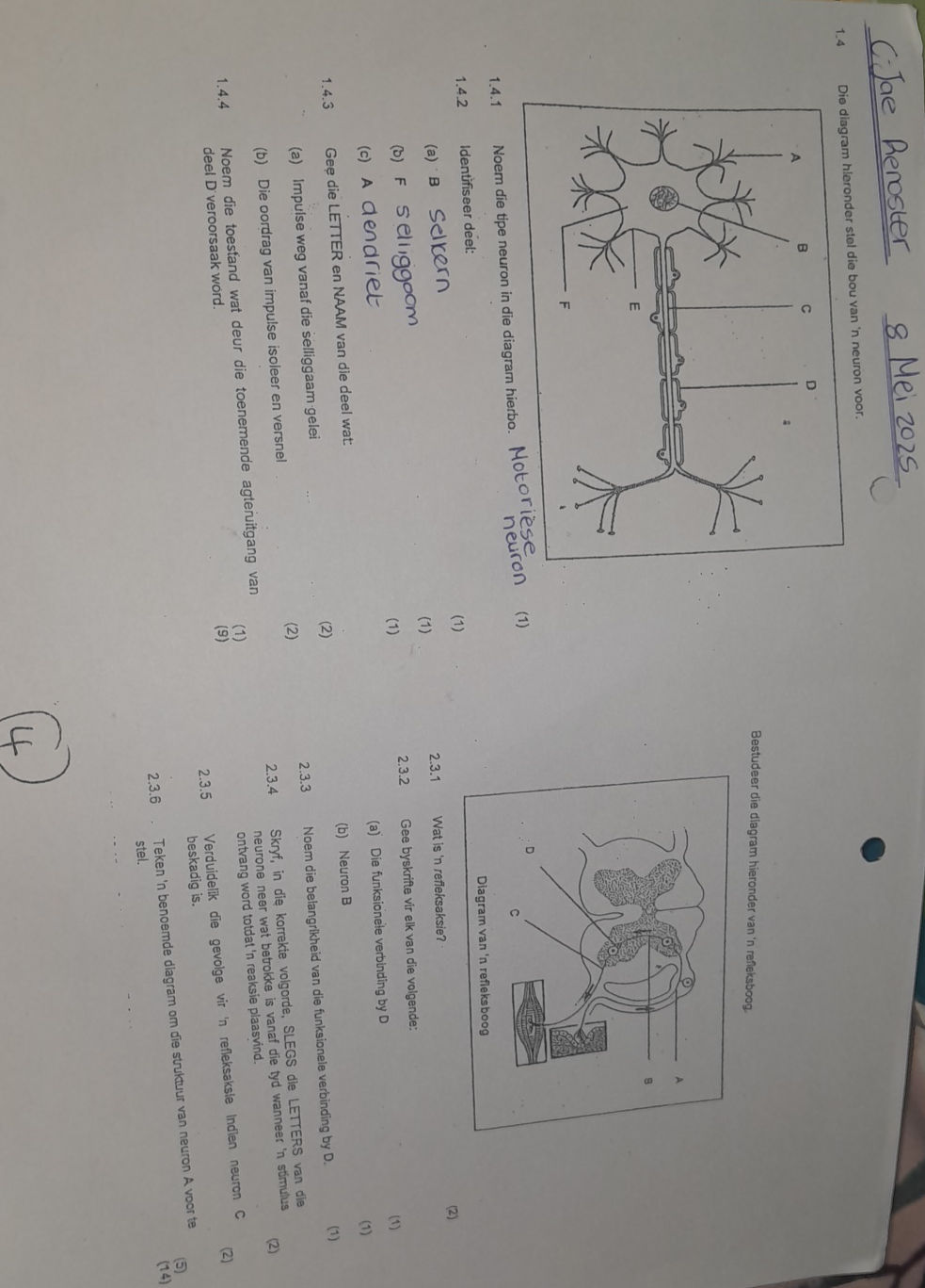 1.4 Die diagram hieronder stel die bou van | StudyX