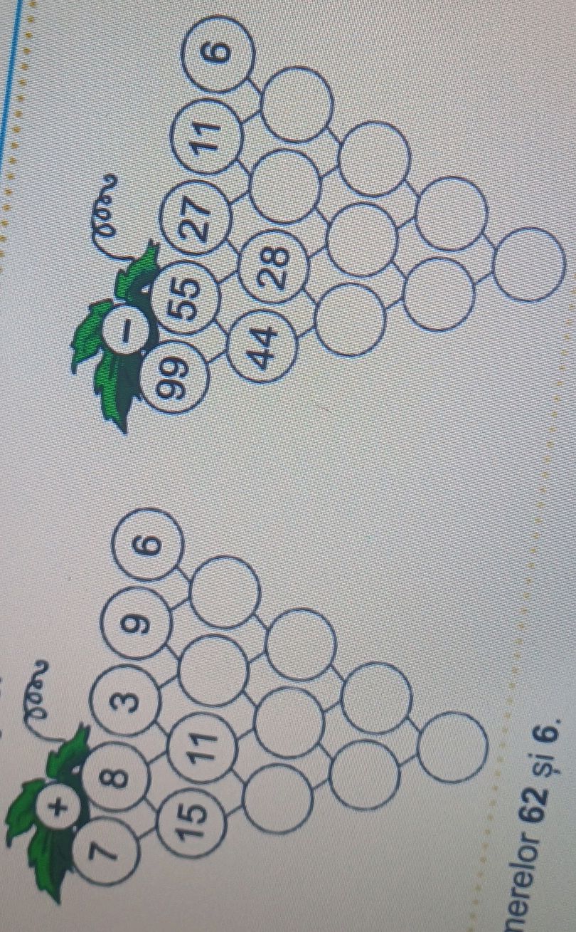 The image presents two grape-shaped diagrams | StudyX