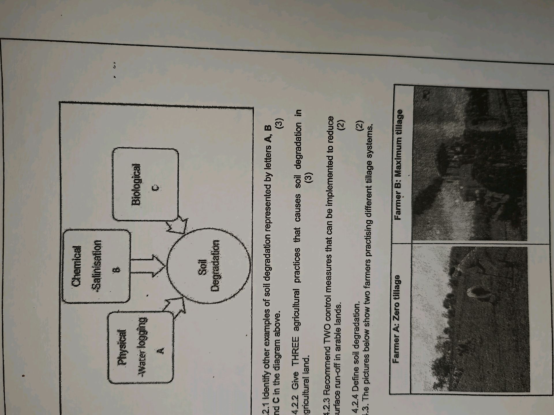 2.1 Identify other examples of soil | StudyX