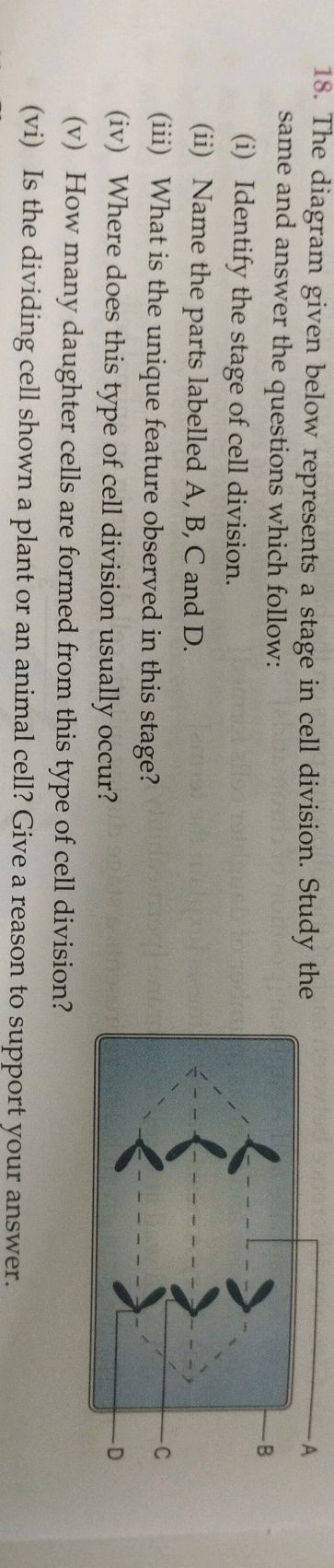 18. The diagram given below represents a | StudyX