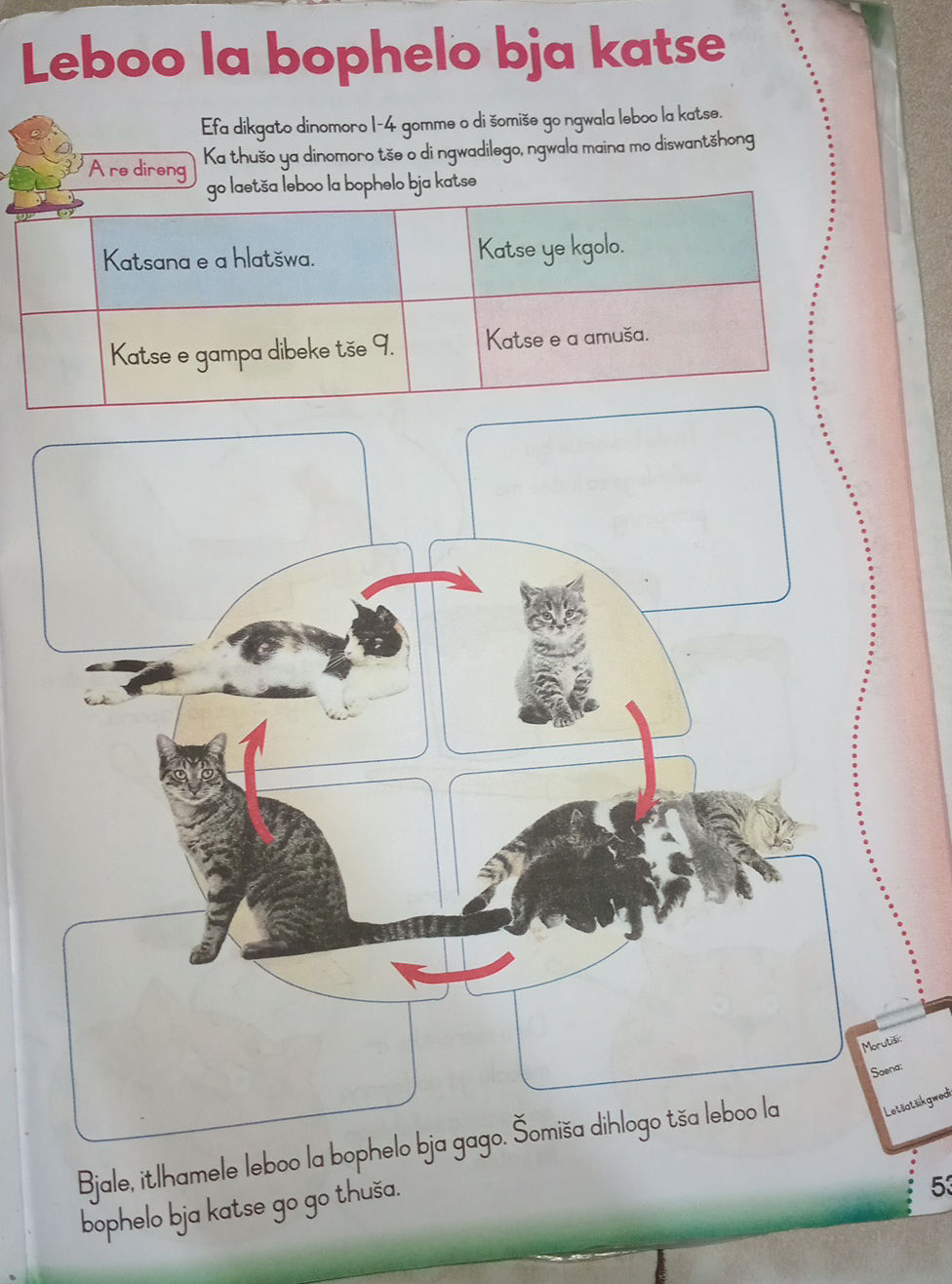 Efa dikgato dinomoro 1-4 gomme o di šomiše | StudyX