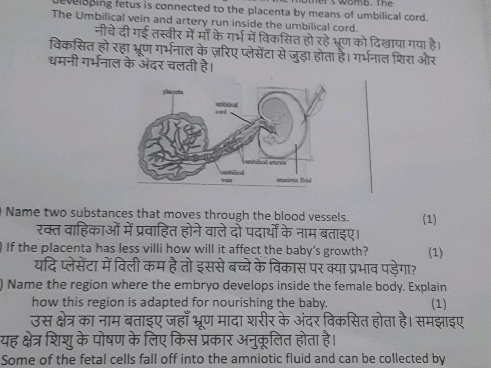 1) Name two substances that moves through | StudyX