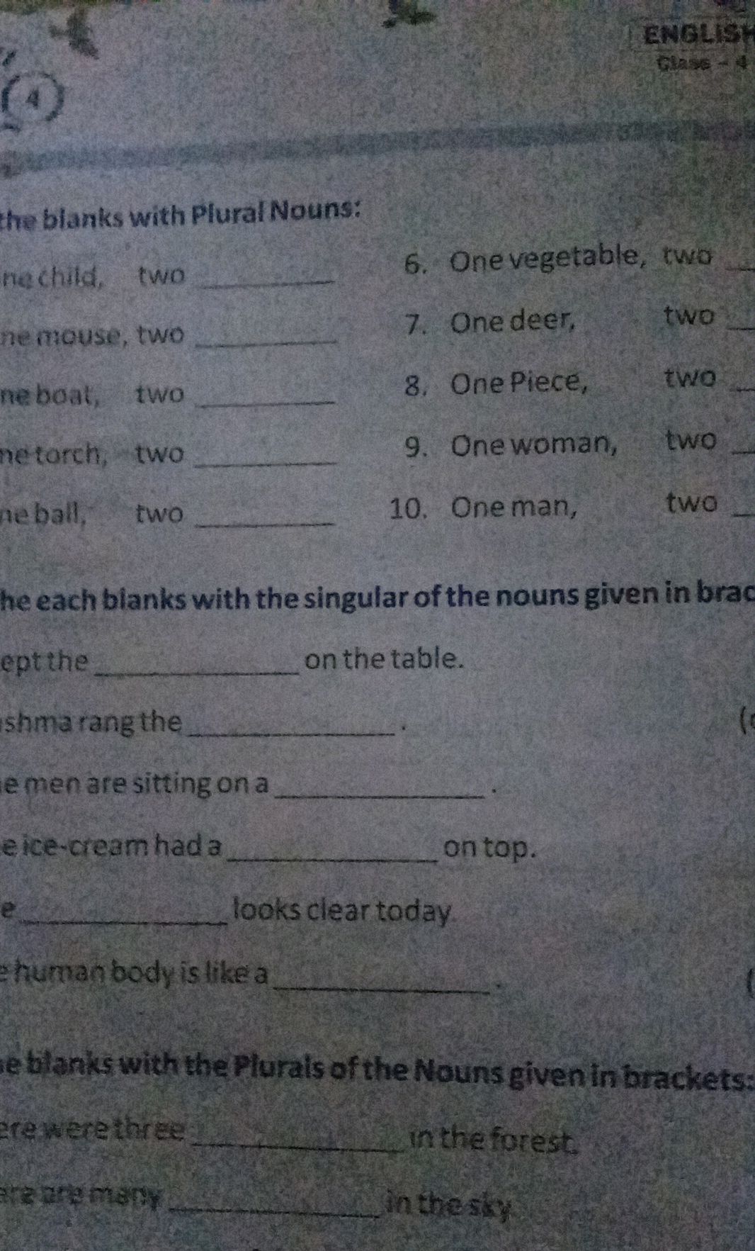 Fill the blanks with Plural Nouns: 1. One | StudyX