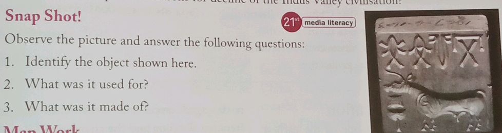 Observe the picture and answer the following | StudyX