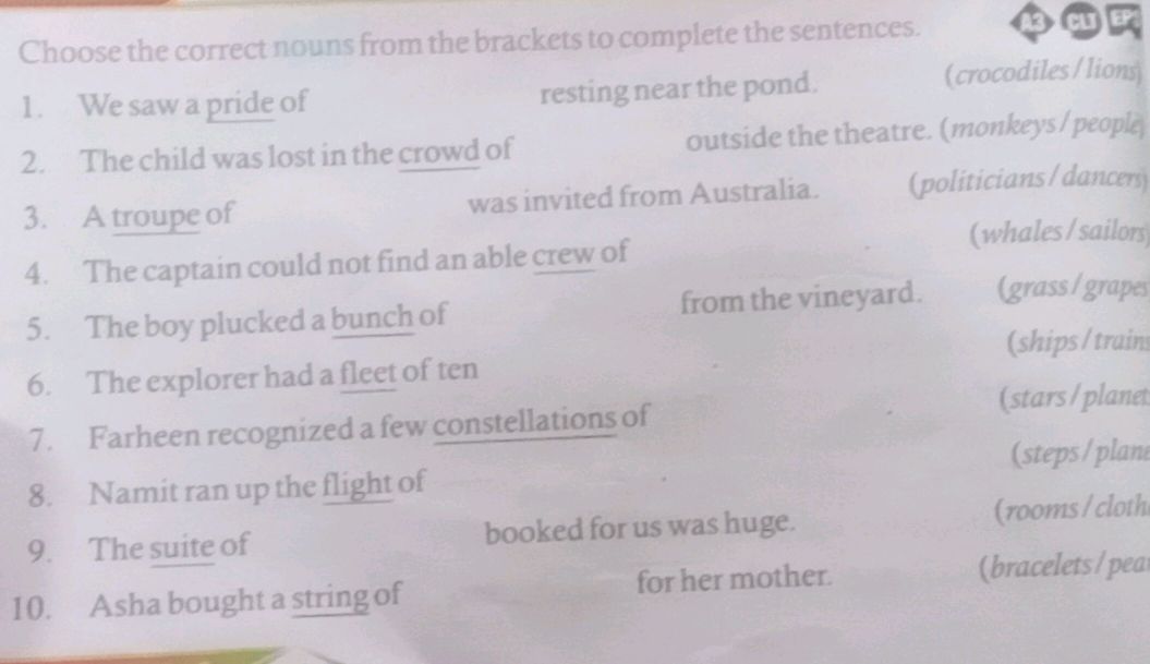 Choose the correct nouns from the brackets | StudyX