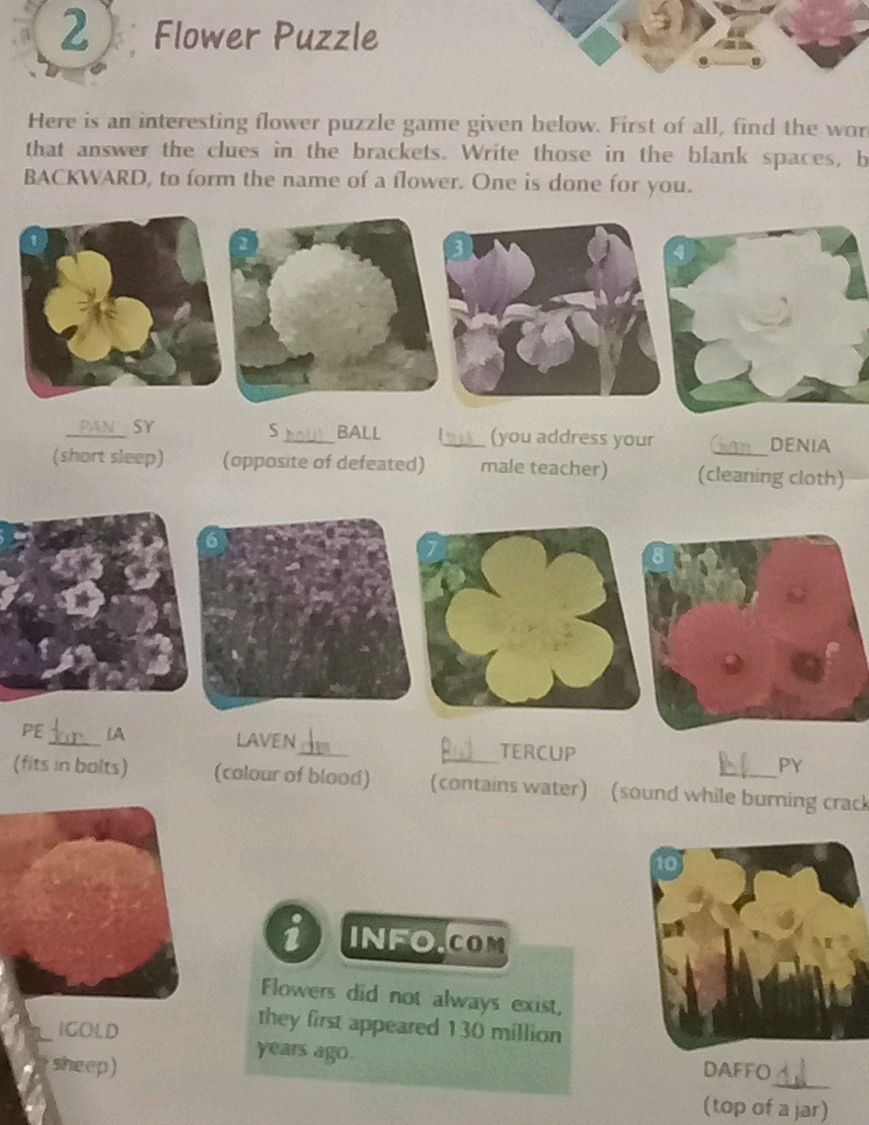 Here is an interesting flower puzzle game | StudyX