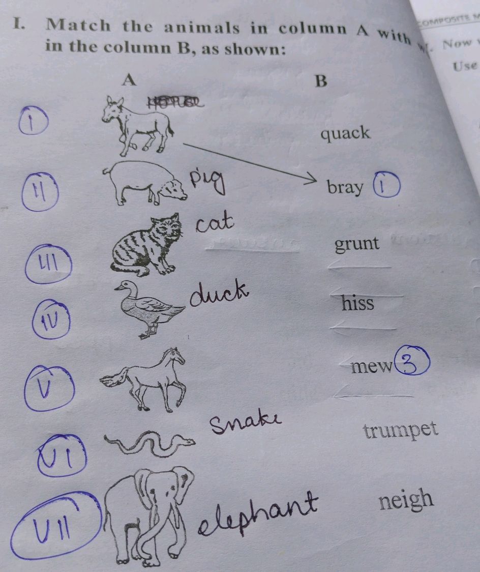 I. Match the animals in column A with in the | StudyX