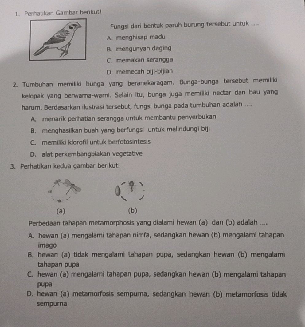 1. Perhatikan Gambar berikut! Fungsi dari | StudyX