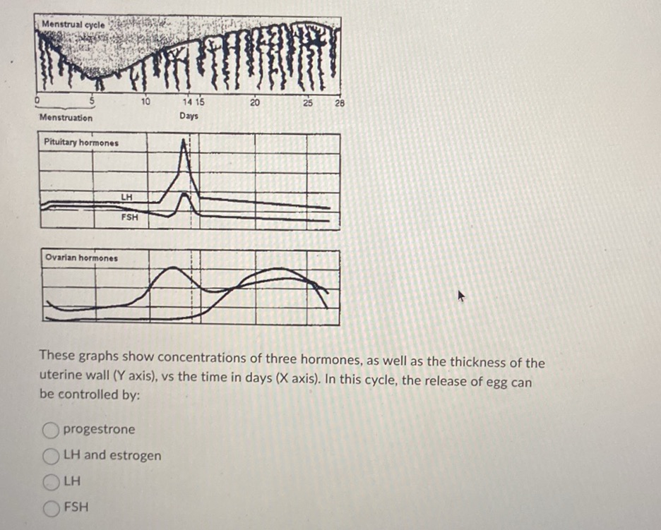 These graphs show concentrations of three | StudyX
