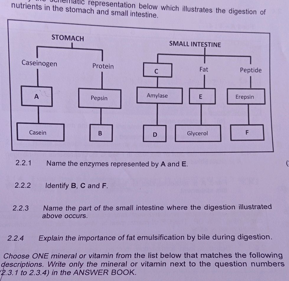 The schematic representation below which | StudyX