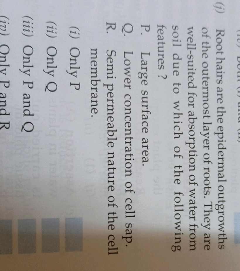 (j) Root hairs are the epidermal outgrowths | StudyX