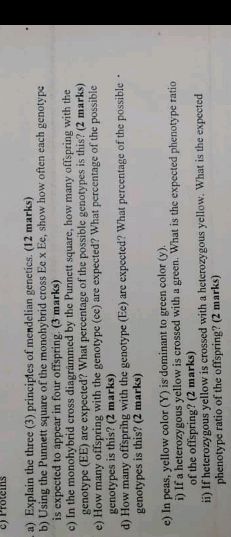 a) Explain the three (3) principles of | StudyX