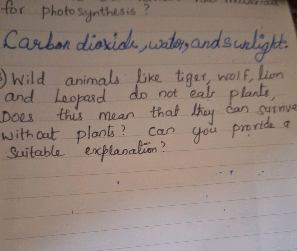 3) Wild animals like tiger, wolf, lion and | StudyX