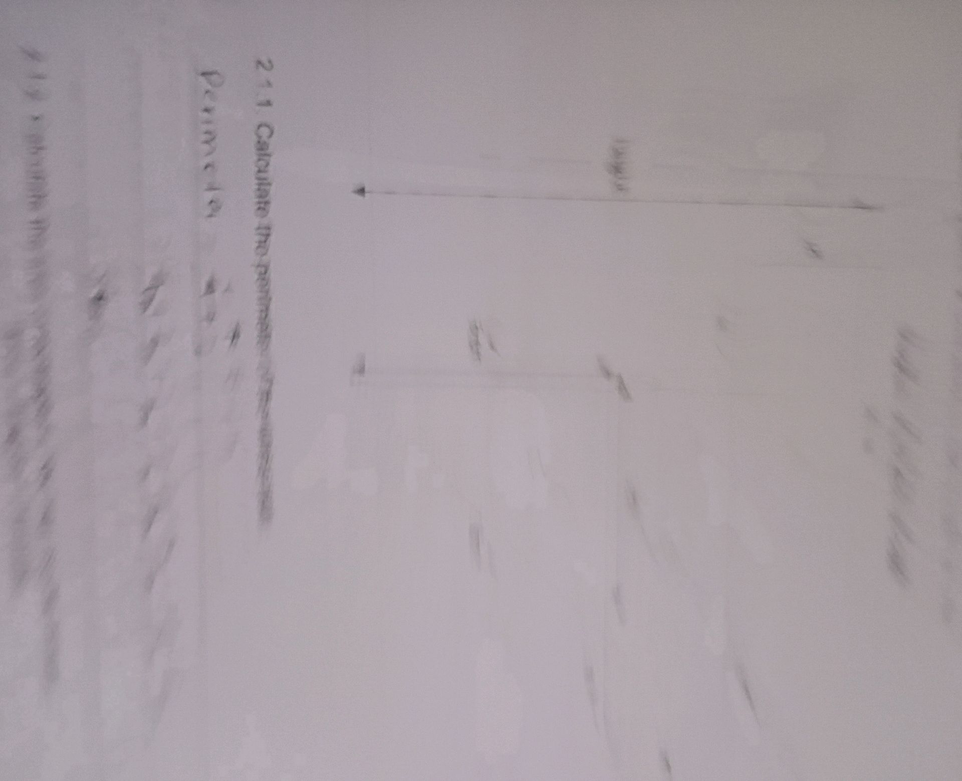 Calculate the Perimeter | StudyX