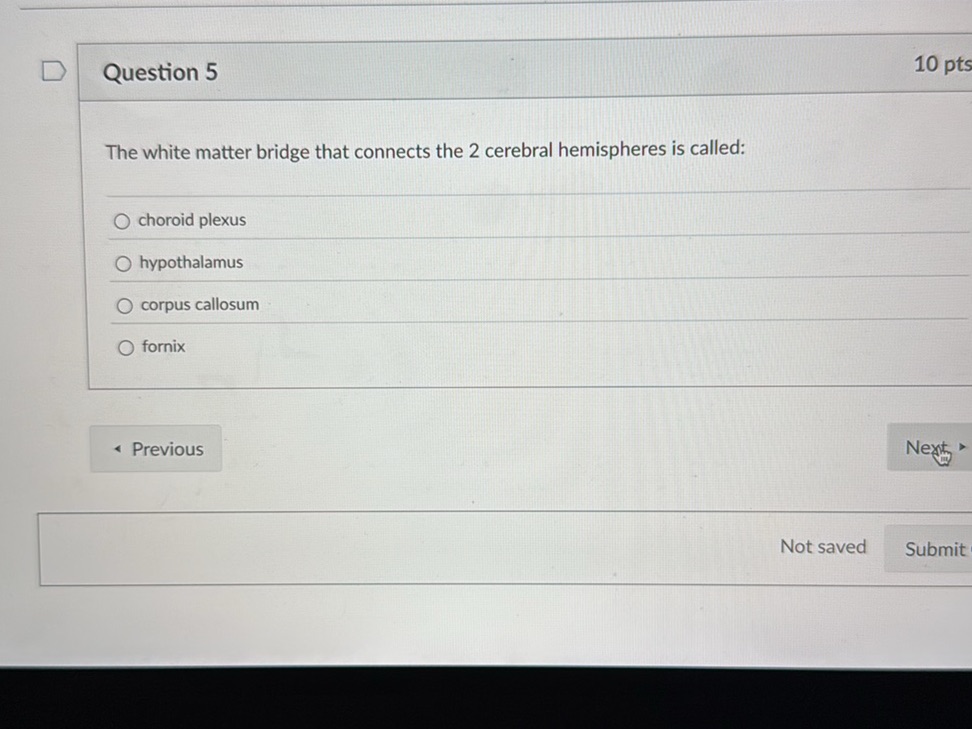 The white matter bridge that connects the 2 | StudyX