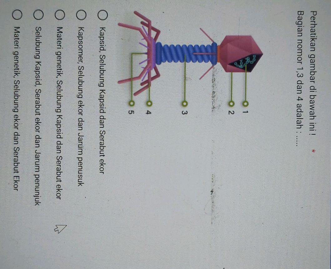 Perhatikan gambar di bawah ini! Bagian nomor | StudyX