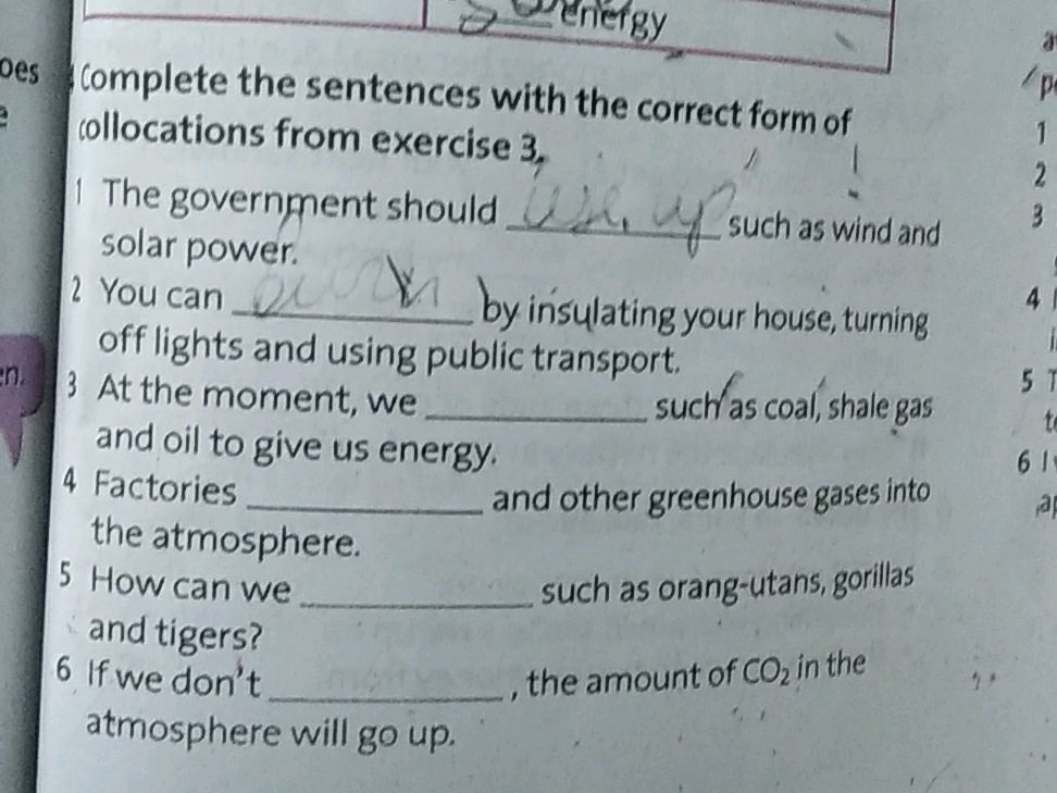 Complete the sentences with the correct form | StudyX