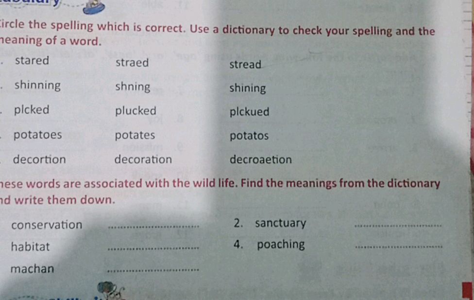 Circle the spelling which is correct. Use a | StudyX