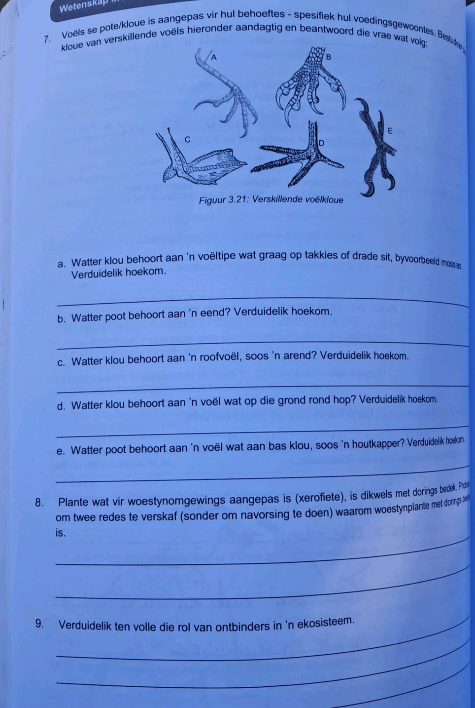 7. Voëls se pote/kloue is aangepas vir hul | StudyX