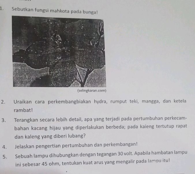 1. Sebutkan fungsi mahkota pada bunga! 2. | StudyX