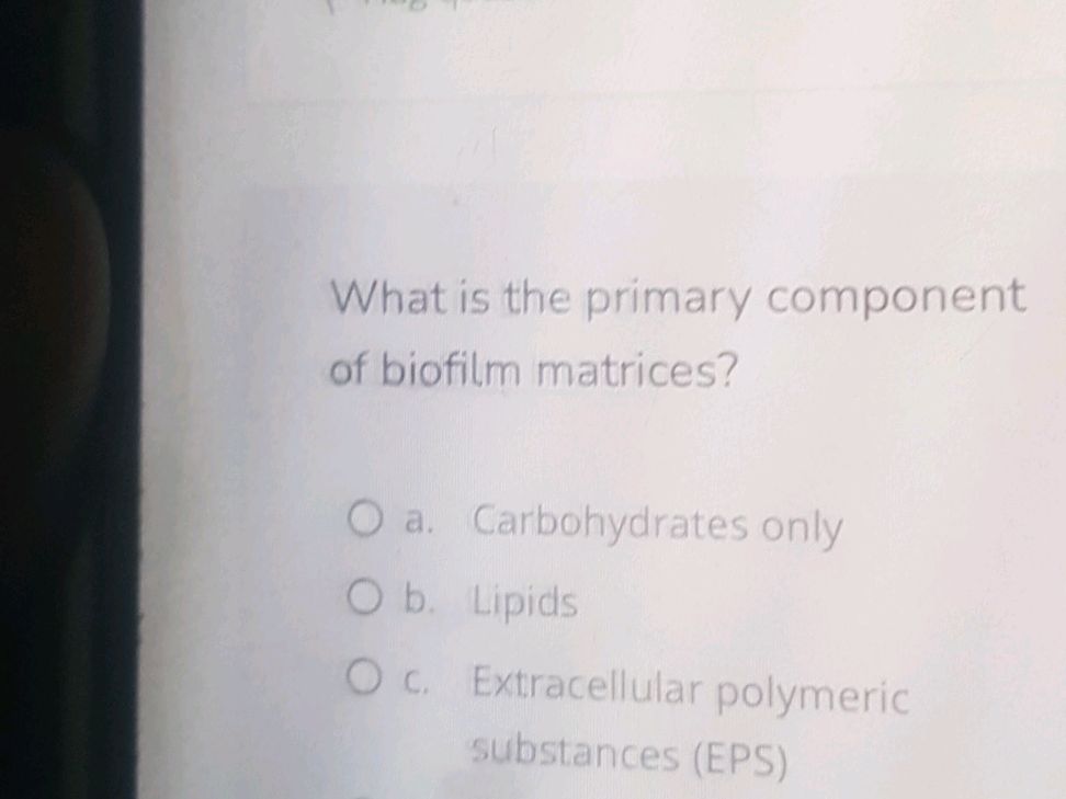 What is the primary component of biofilm | StudyX