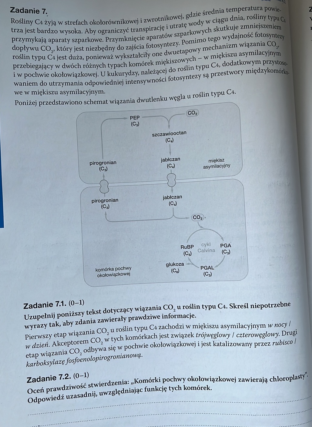 Zadanie 7. Rośliny C4 żyją w strefach | StudyX