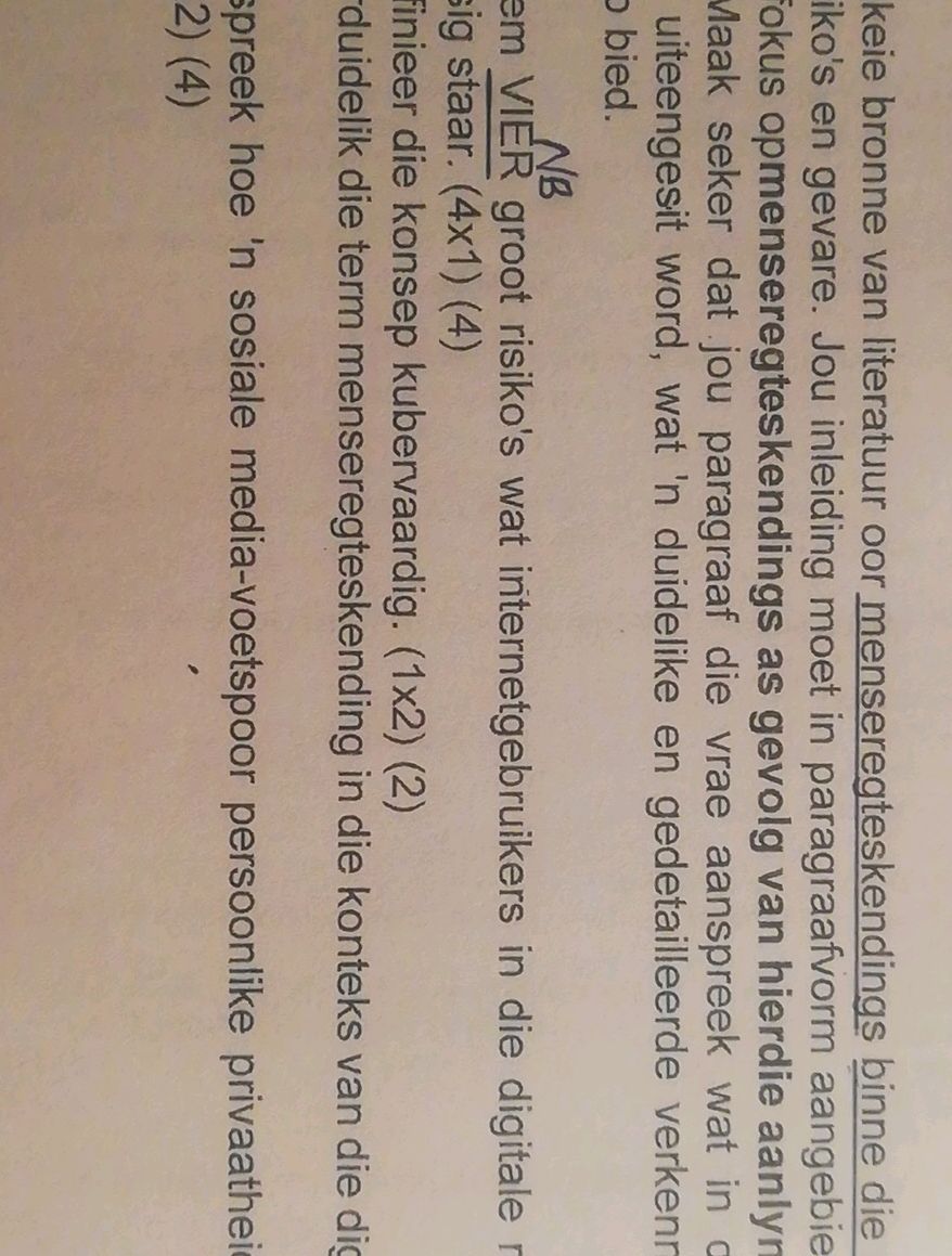 em VIER groot risiko's wat | StudyX