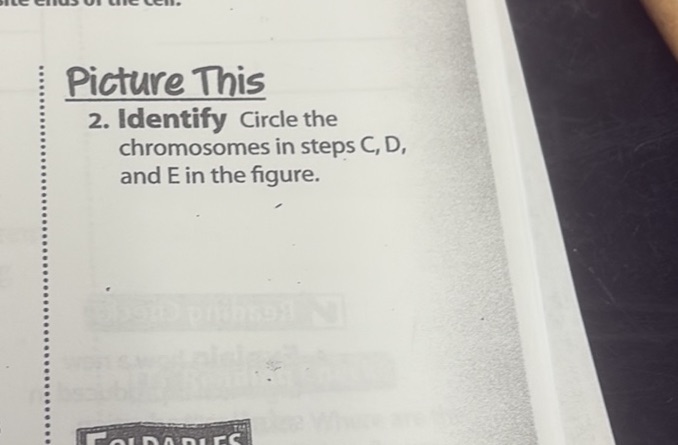 2. Identify Circle the chromosomes in steps | StudyX
