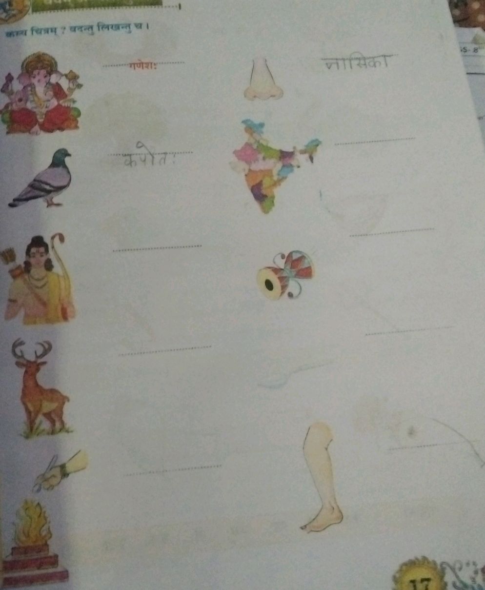 Identify the images and write their names. | StudyX