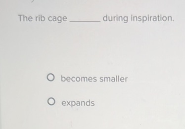 The rib cage ______ during inspiration. | StudyX