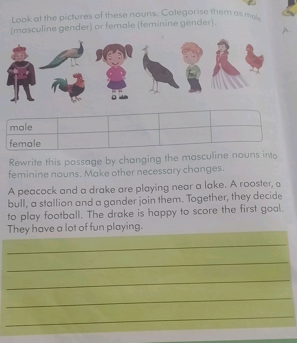 Look at the pictures of these nouns. | StudyX