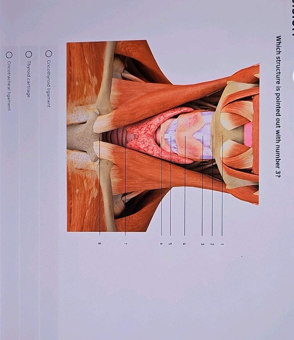 Which structure is pointed out with number | StudyX