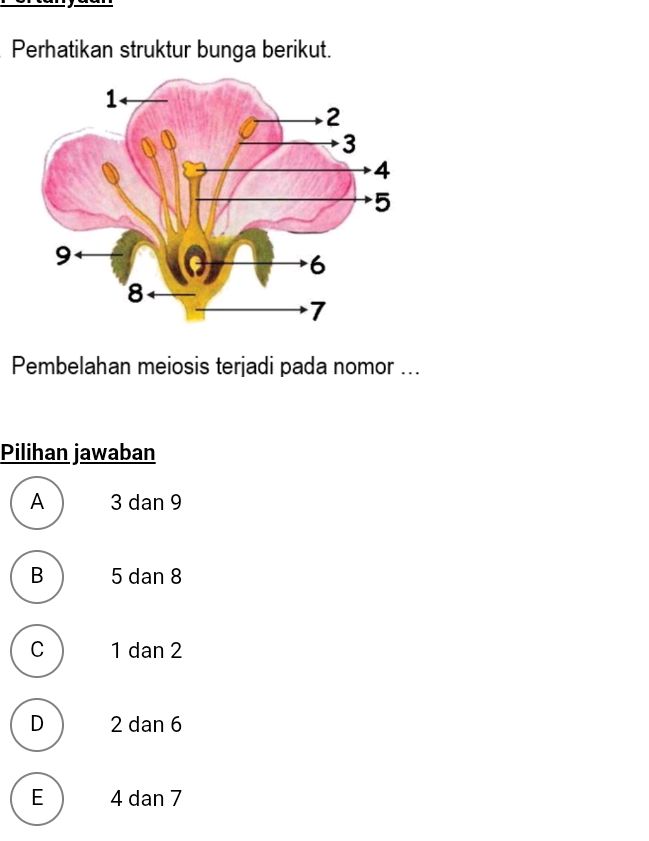 Perhatikan struktur bunga berikut. | StudyX