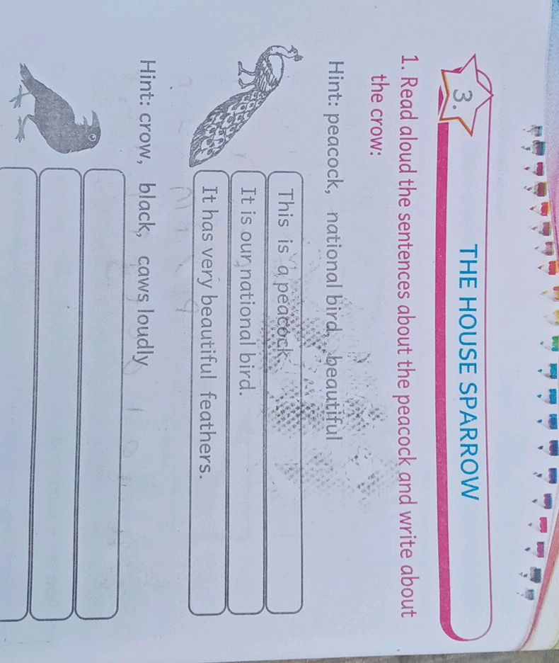 1. Read aloud the sentences about the | StudyX