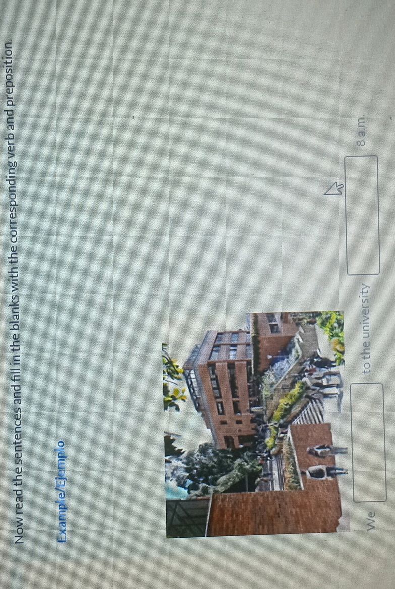 Now read the sentences and fill in the | StudyX