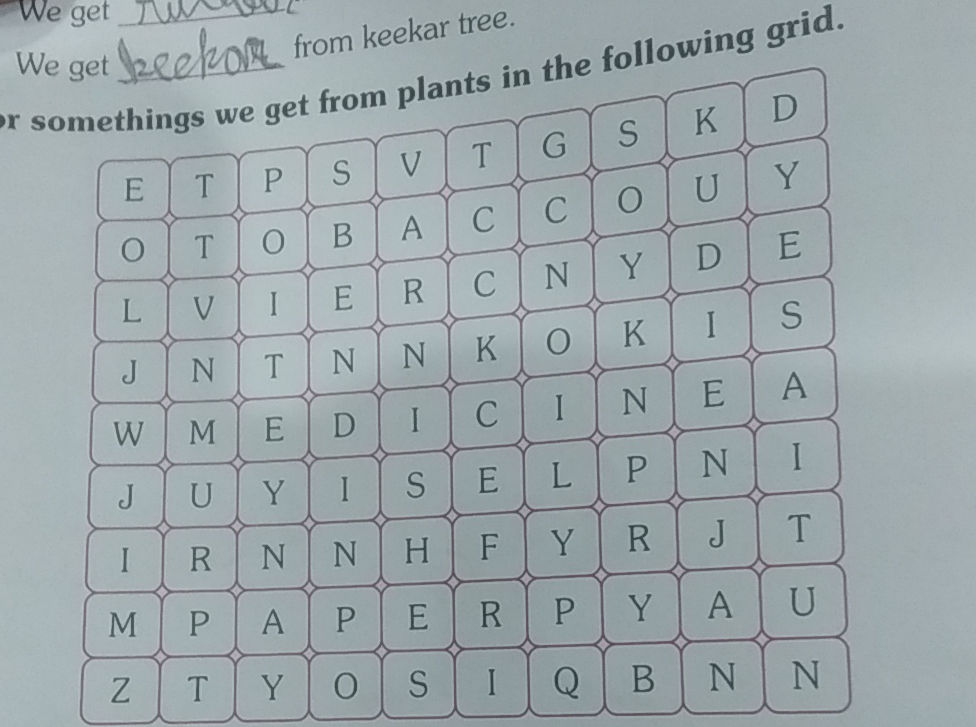 Find somethings we get from plants in the | StudyX