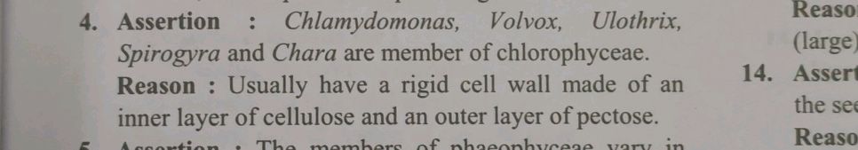 4. Assertion : Chlamydomonas, Volvox, | StudyX