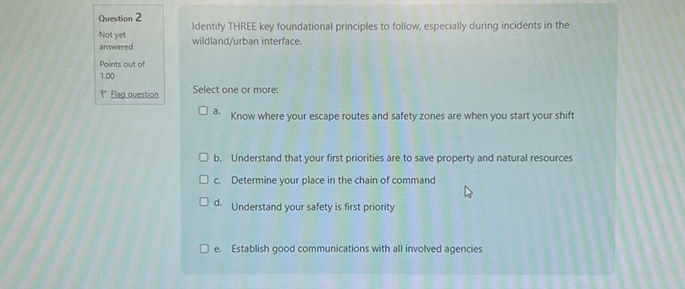 Identify THREE key foundational principles | StudyX