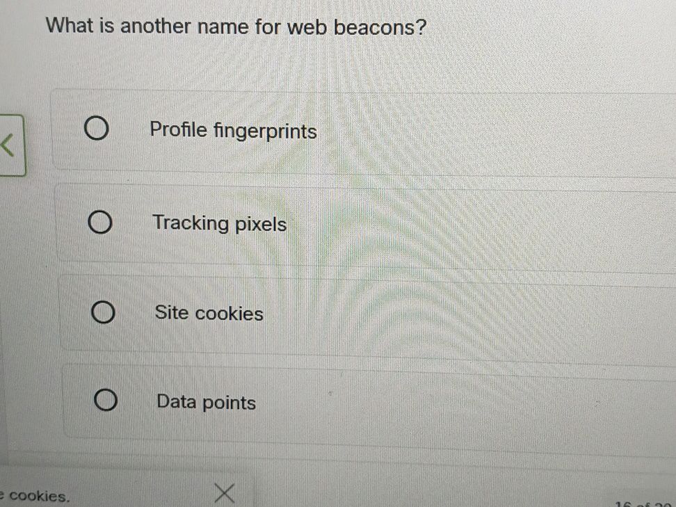 What is another name for web beacons? | StudyX