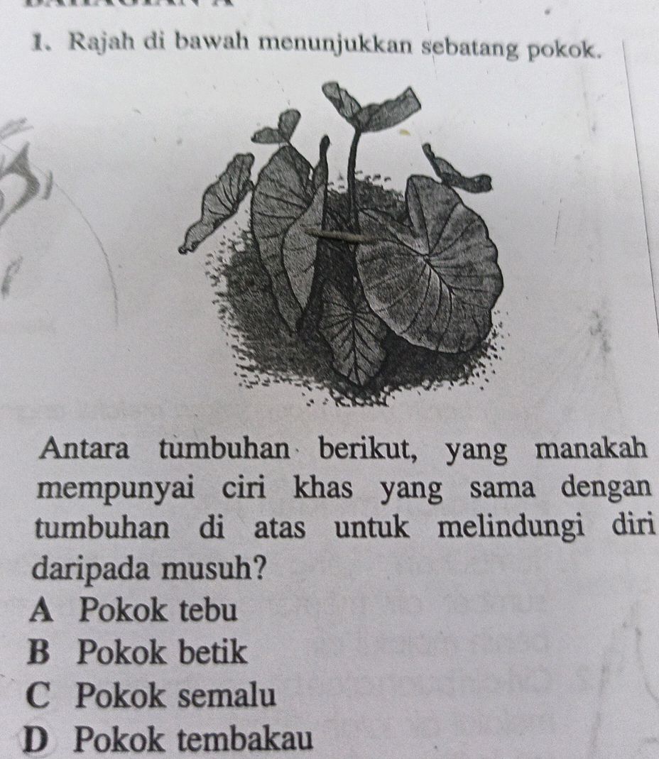 1. Rajah di bawah menunjukkan sebatang | StudyX