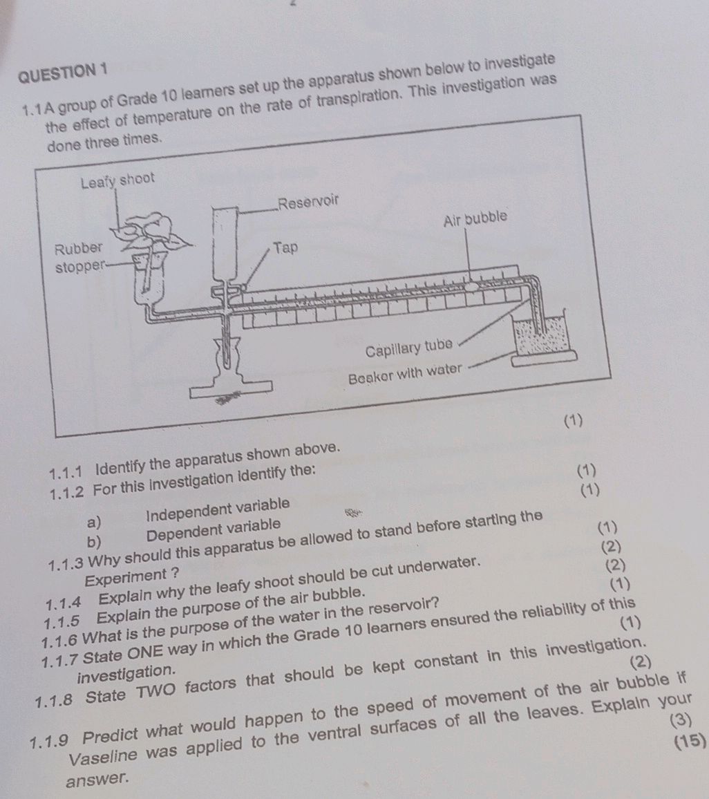 QUESTION 1 1.1 A group of Grade 10 learners | StudyX