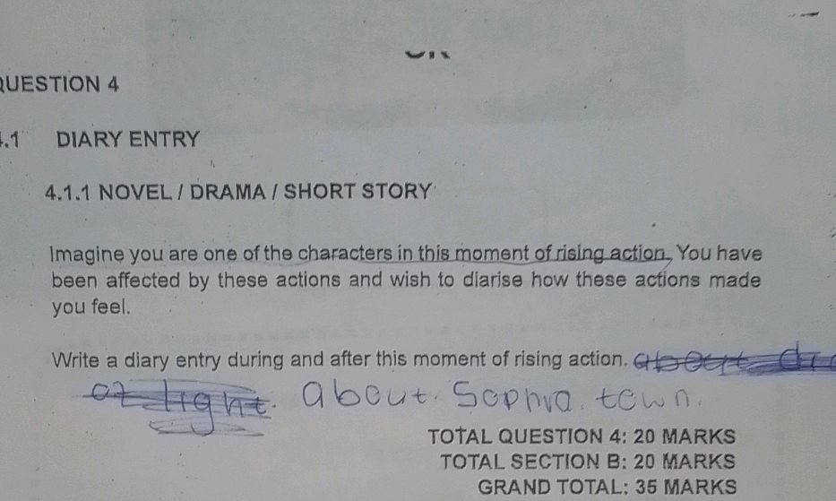 Write a diary entry during and after this | StudyX