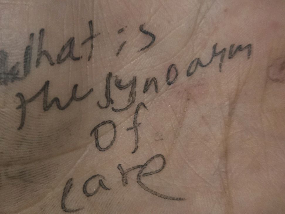 Synonym of Care | StudyX