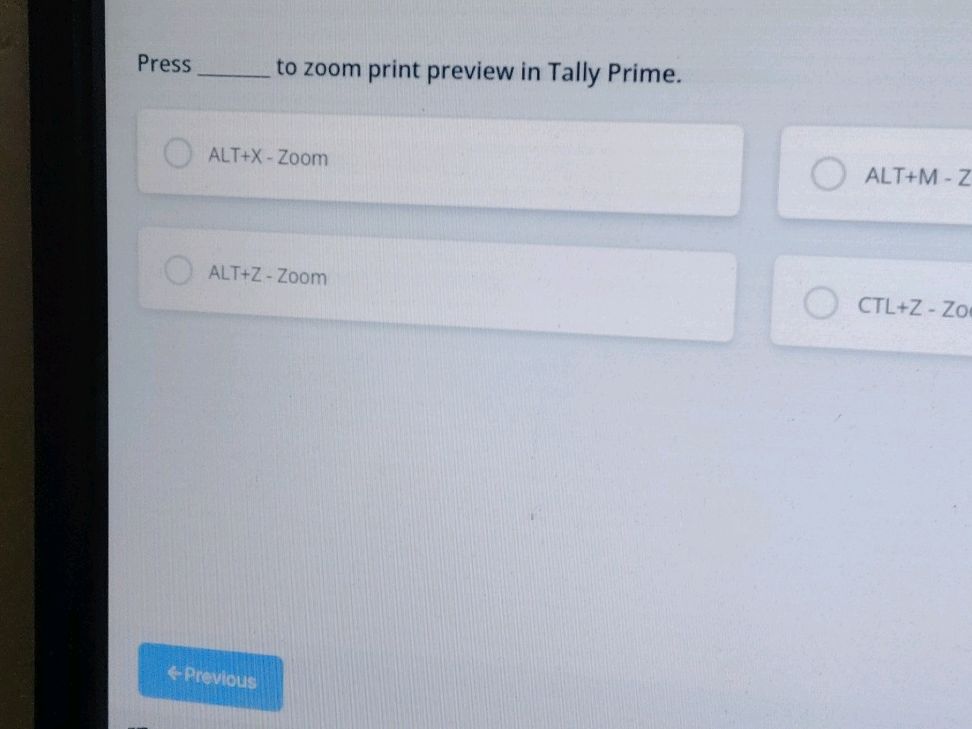 Press to zoom print preview in Tally Prime.
