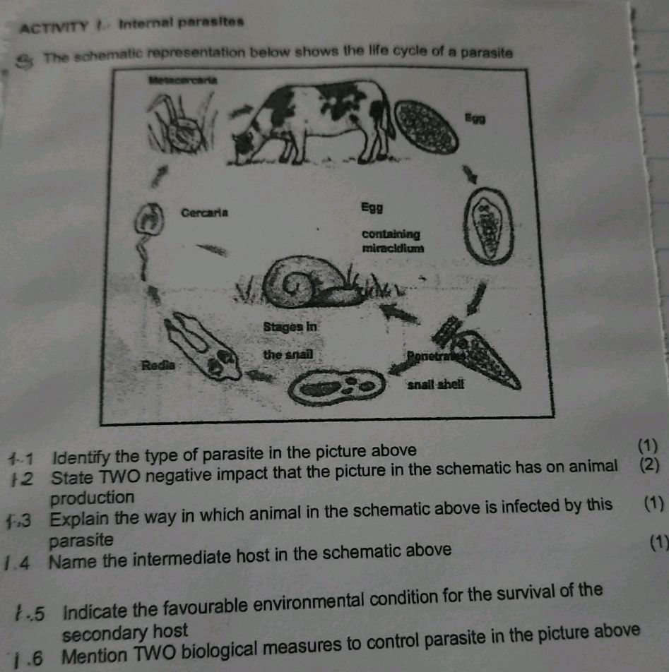 1.1 Identify the type of parasite in the | StudyX