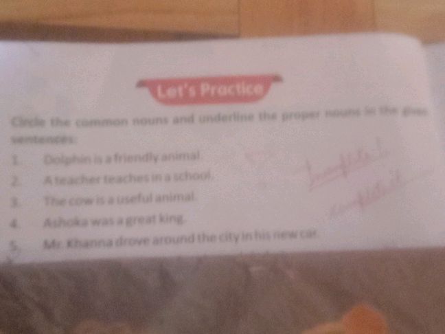 Circle the common nouns and underline the | StudyX