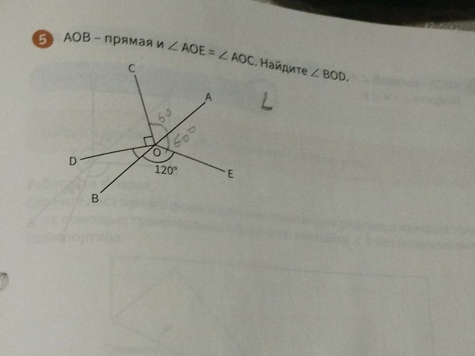 5 AOB - прямая и ∠ AOE = ∠ AOC. Найдите ∠ | StudyX