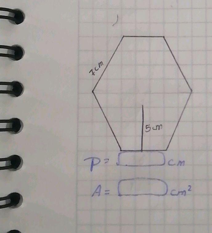 Calculate the perimeter (P) and area (A) of | StudyX